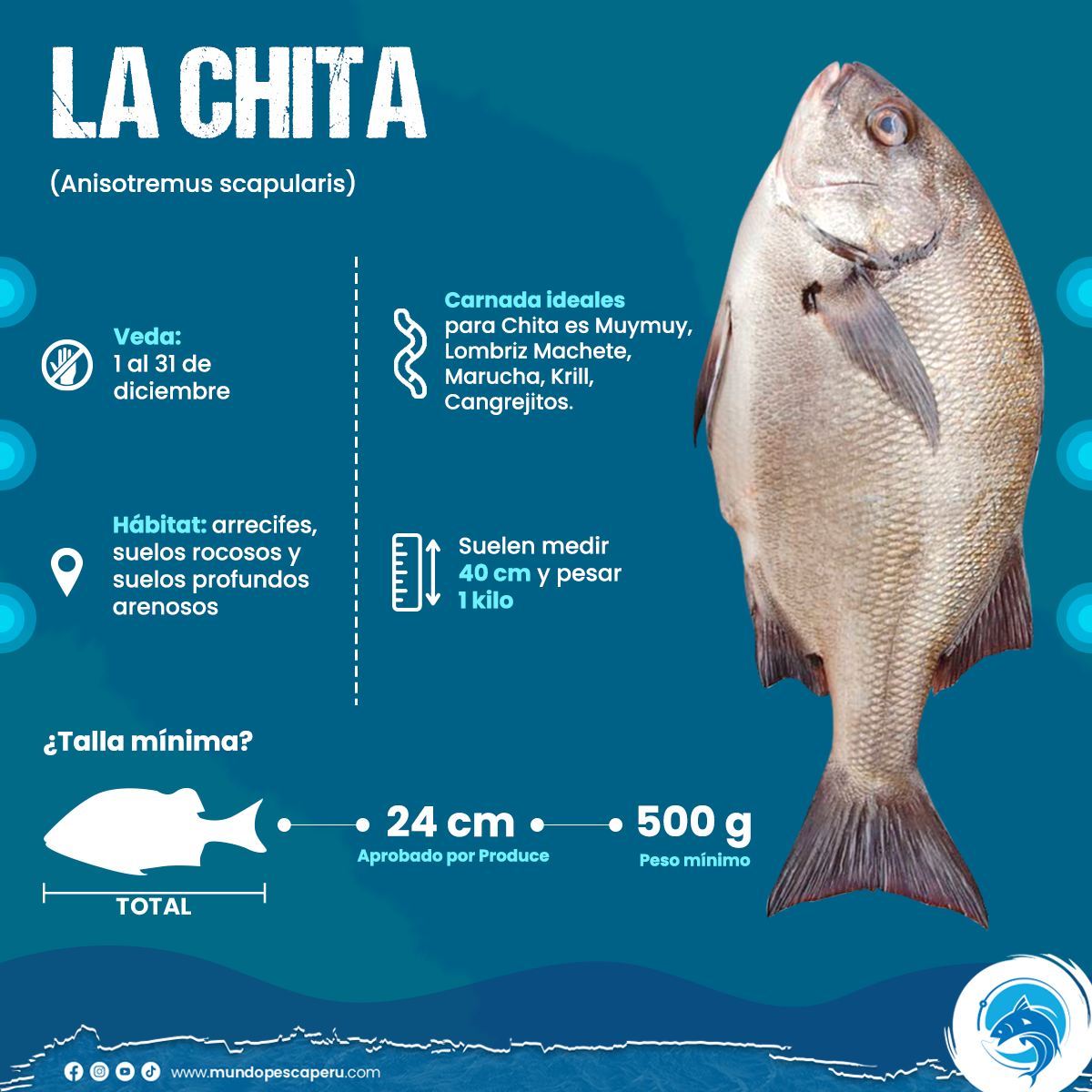 Pescadores en Perú enfrentan a los ilegales: “Nos hemos organizado para ...